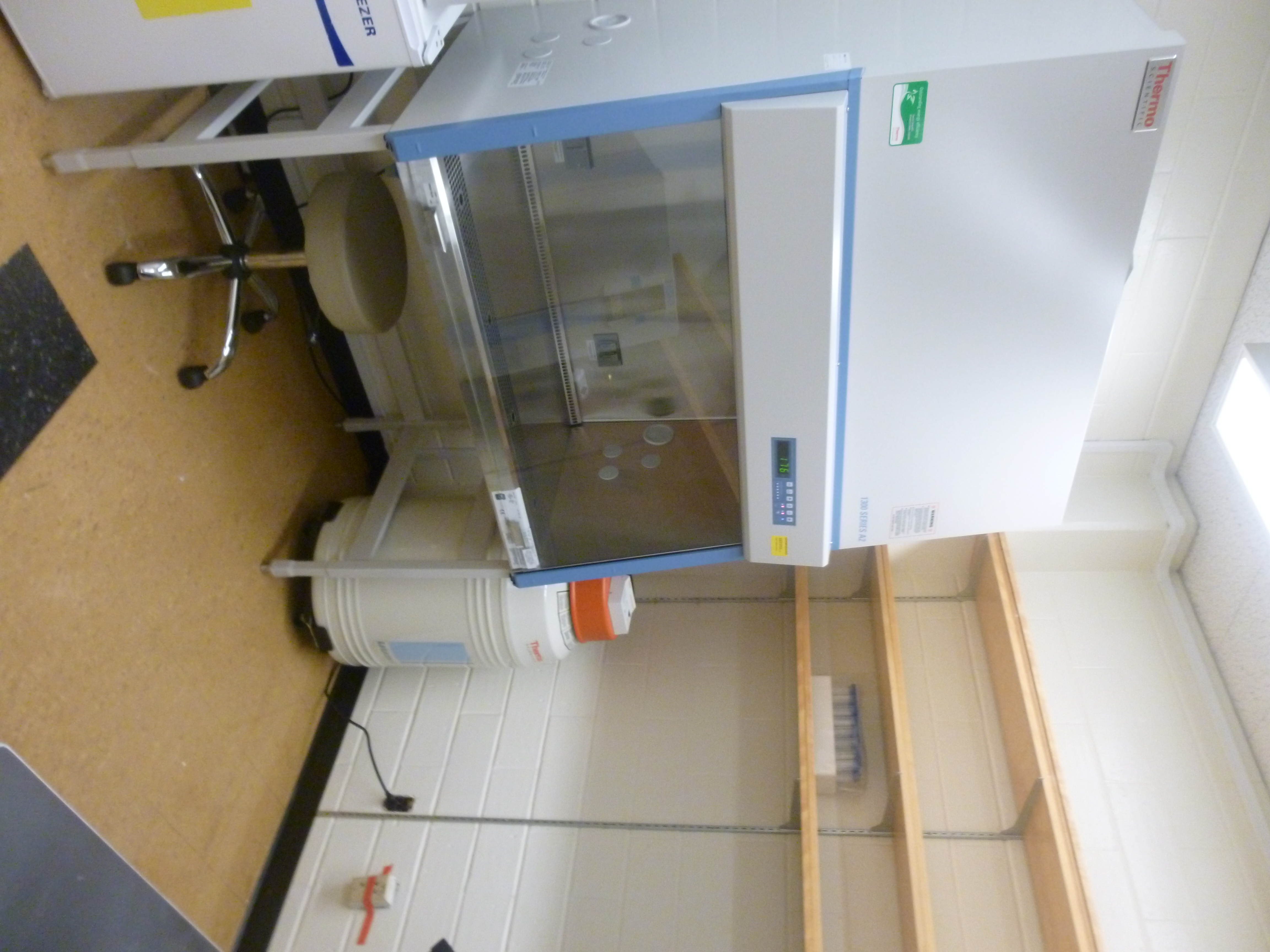 Finally, a functioning Tissue Culture room