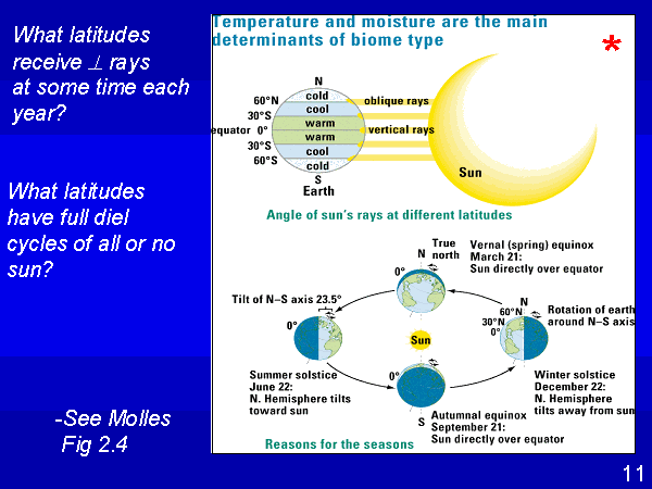 PPT Slide